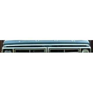 Hood Lip Molding Set (includes 6 clips) 1967-72 (D0TZ-16958-SET) F100 ...